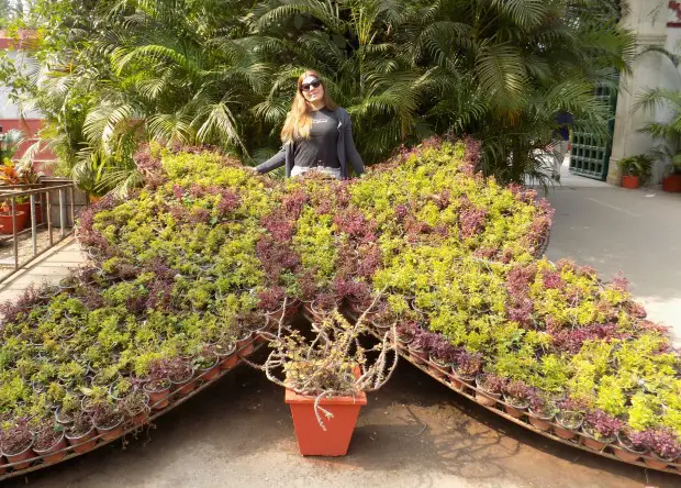 Enchanting Rajasthan- colorful towns of India in one-week itinerary