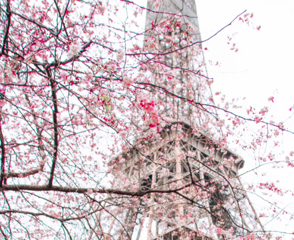 Best places to visit in March in Europe with the spring awakening