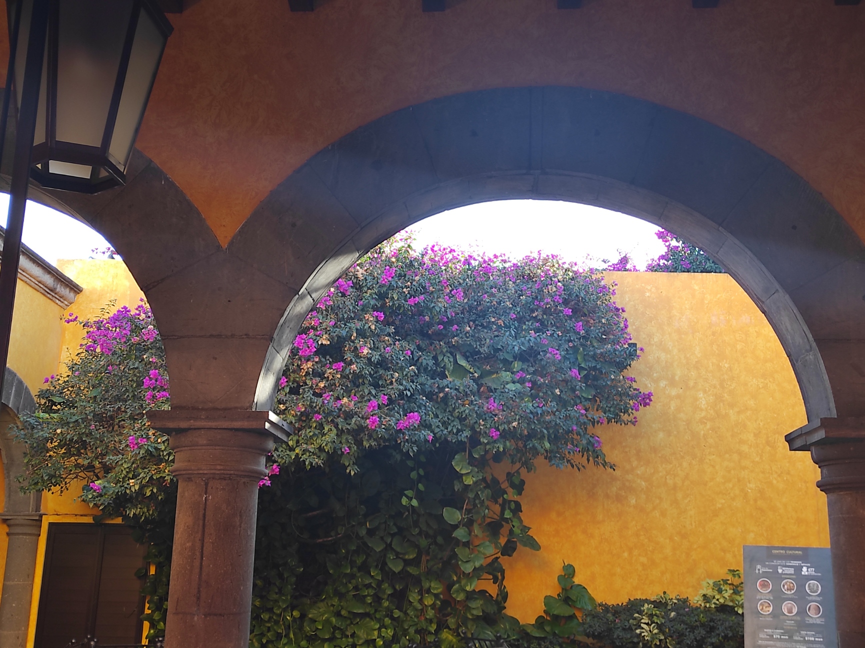Tequila, colourful town full of cheerfulness- Day trip from Guadalajara