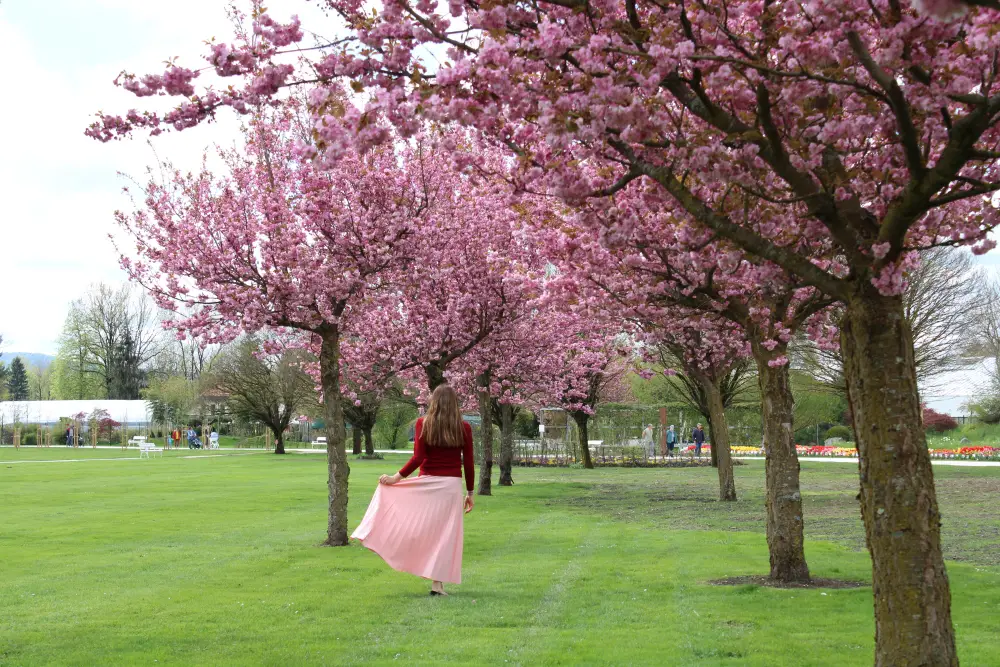 Arboretum Volčji Potok, the botanical heaven near Ljubljana